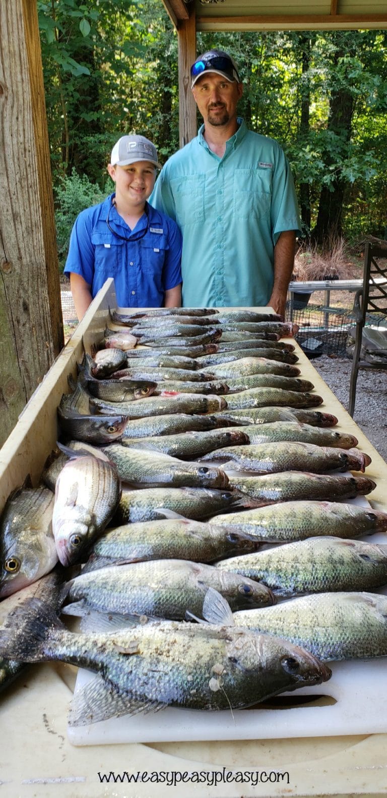 Parmesan Breaded Crappie Recipe - Easy Peasy Pleasy