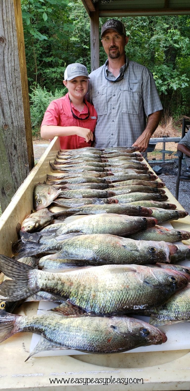 Parmesan Breaded Crappie Recipe - Easy Peasy Pleasy