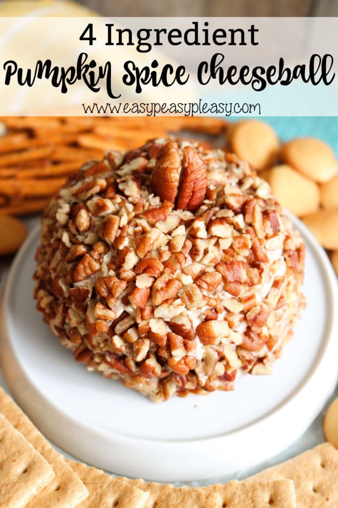 Pumpkin Spice Cheese Ball using 4 Ingredients - Easy Peasy Pleasy
